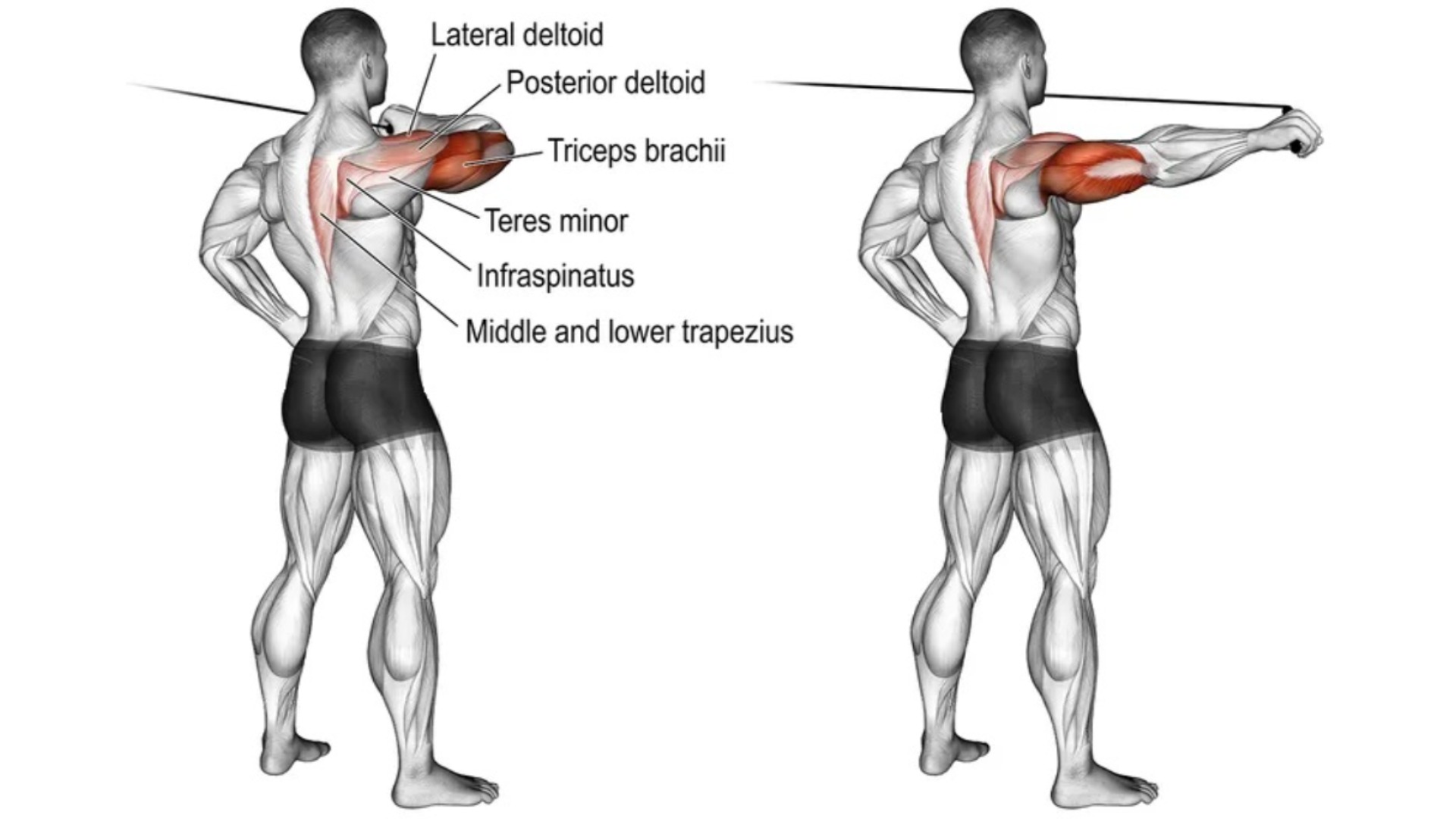 9 exerciții triceps care îți vor dezvolta brațele și îți vor crește forța