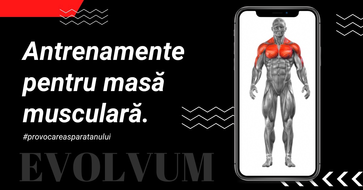 Masa musculară: Cum te antrenezi și ce mănânci zilnic